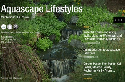 The Pond Squad | Oklahoma City | Yukon-OK