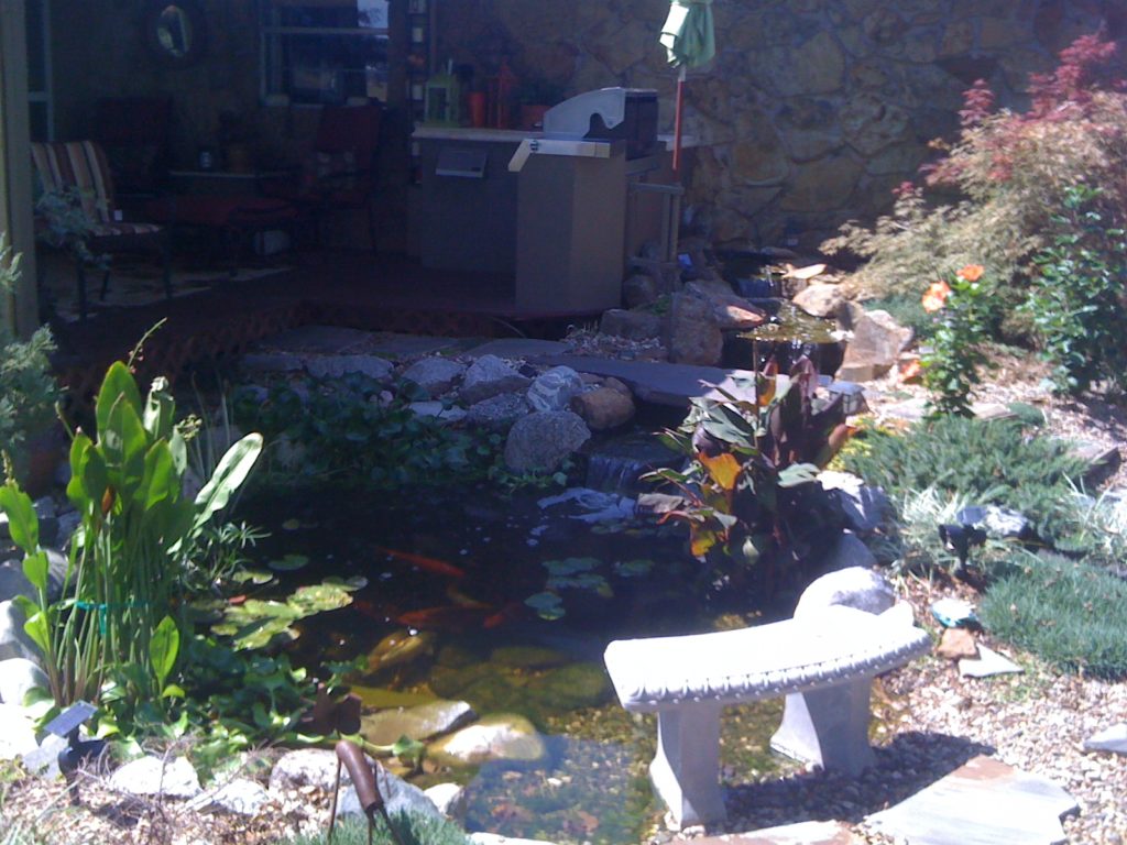 How Deep Are Koi Ponds? | Oklahoma City | Yukon-OK
