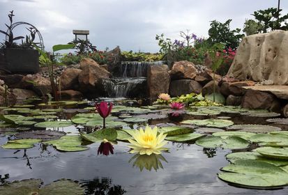 How Deep Are Koi Ponds? | Oklahoma City | Yukon-OK